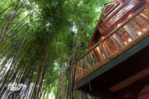 casa de l'arbre airbnb
