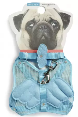 primark petwear