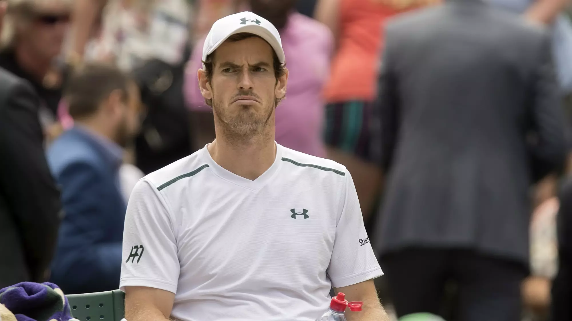 sessismo di andy murray