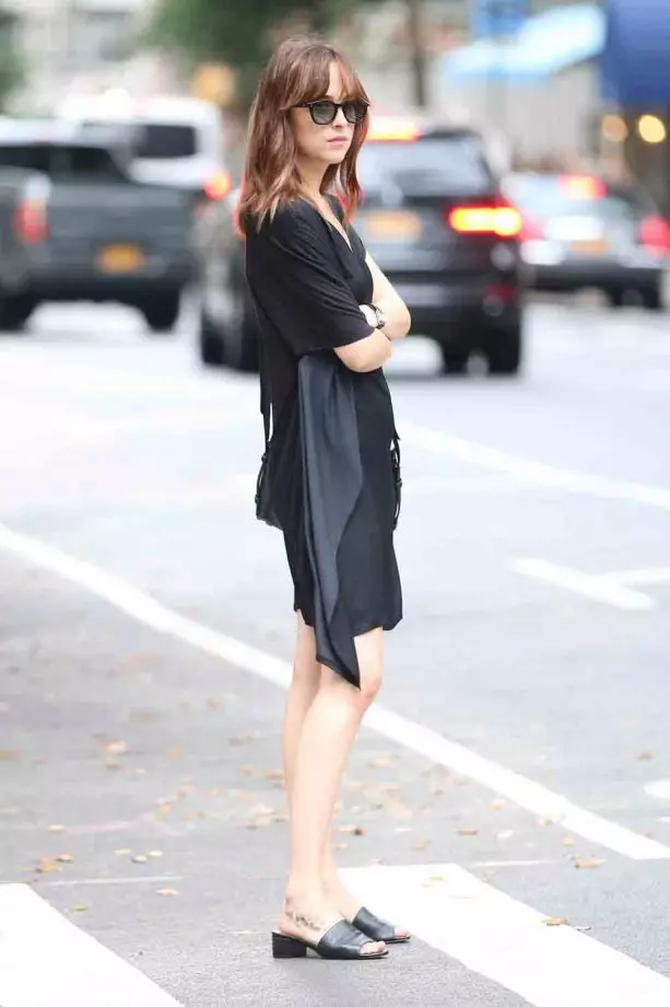 Dakota Johnson style file