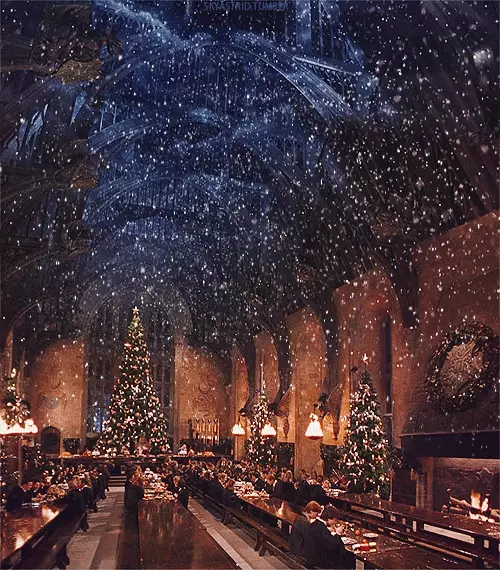 Stop alt. Du kan spise julemiddag på Hogwarts. 25762_1