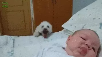 Compartilhar uma cama com seu animal de estimação é bom para sua saúde, segundo a ciência 26312_3