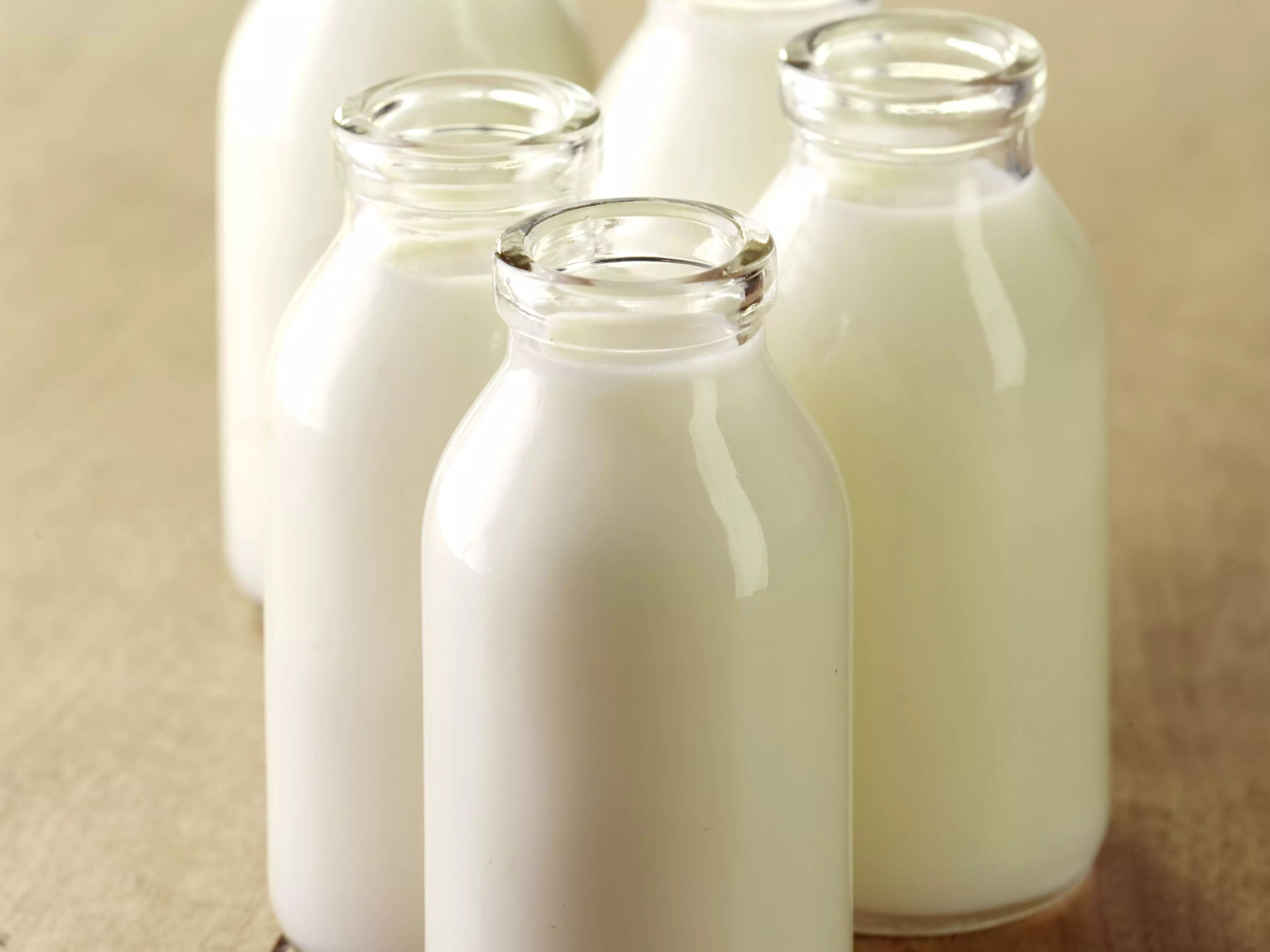 Молоко вредно? Мы смотрим на факты и альтернативы 26843_1