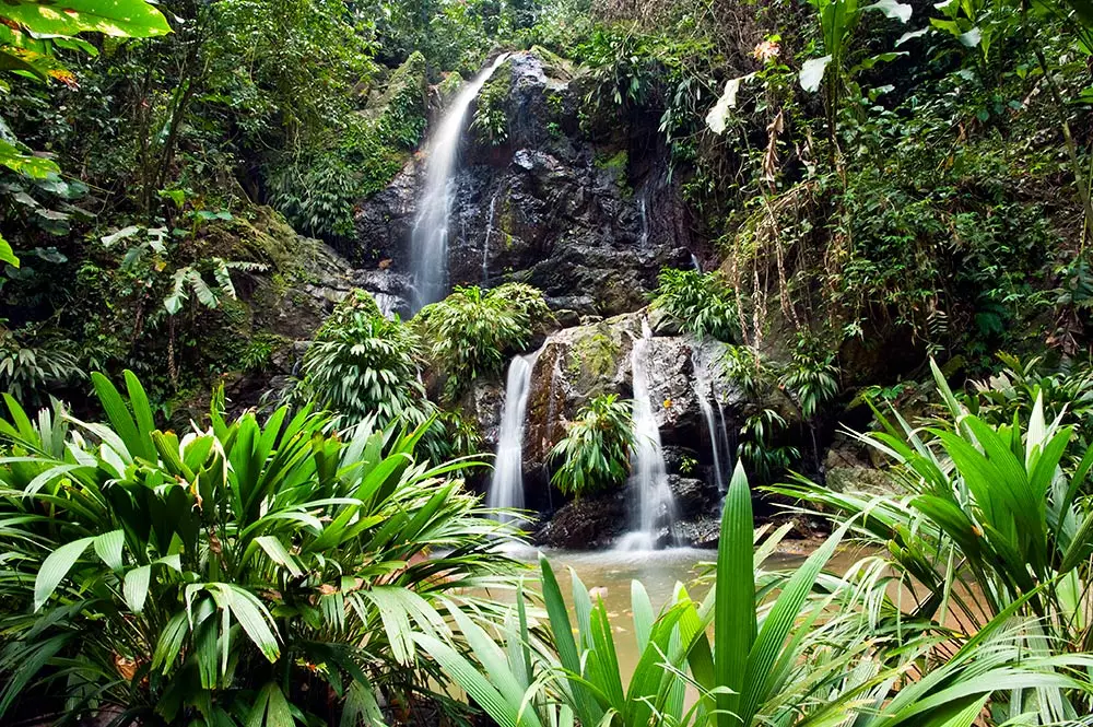 Napa Tobago minangka tujuan eco-liburan saben wong kudu ngunjungi taun iki 31216_3