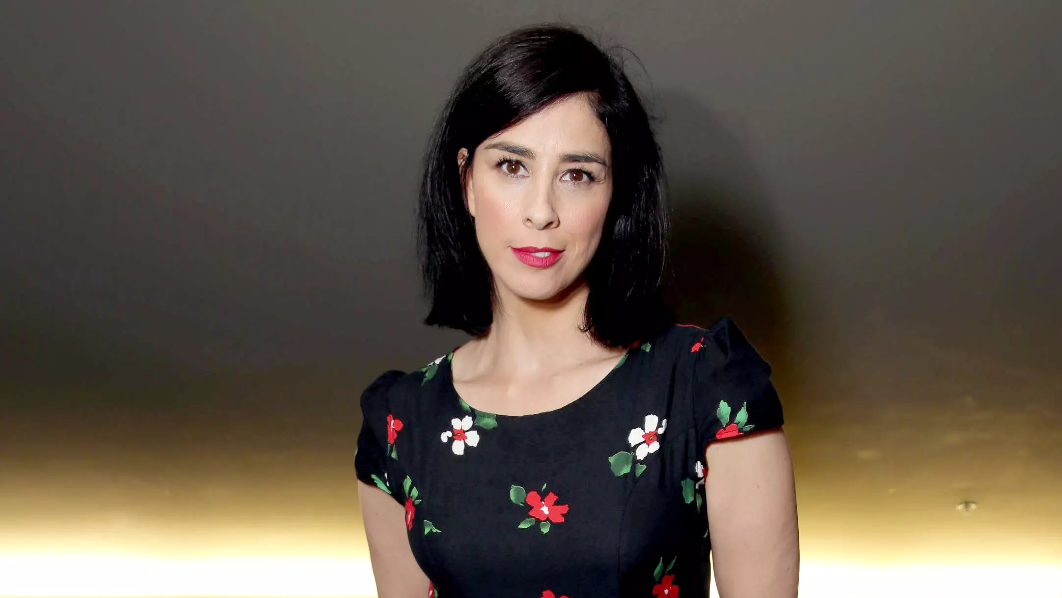 Krediya Mecbûrî: Wêne ji hêla Eric Charbonneau/REX/Shutterstock (5685494m) Sarah Silverman 'Masters of Sex' Panela ATAS FYC, Los Angeles, Amerîka - 16 Gulan 2016