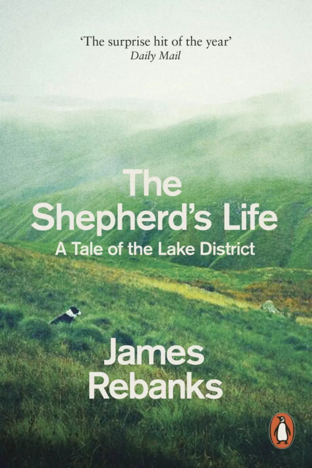 A vida dos pastores